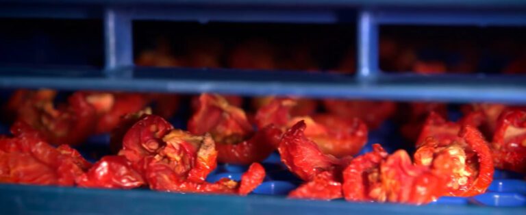 SunBlush® - Leathams